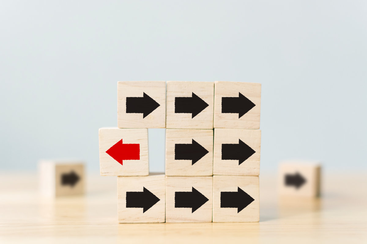 How To Know Who Is Not Following You Back On Twitter? » Soaster